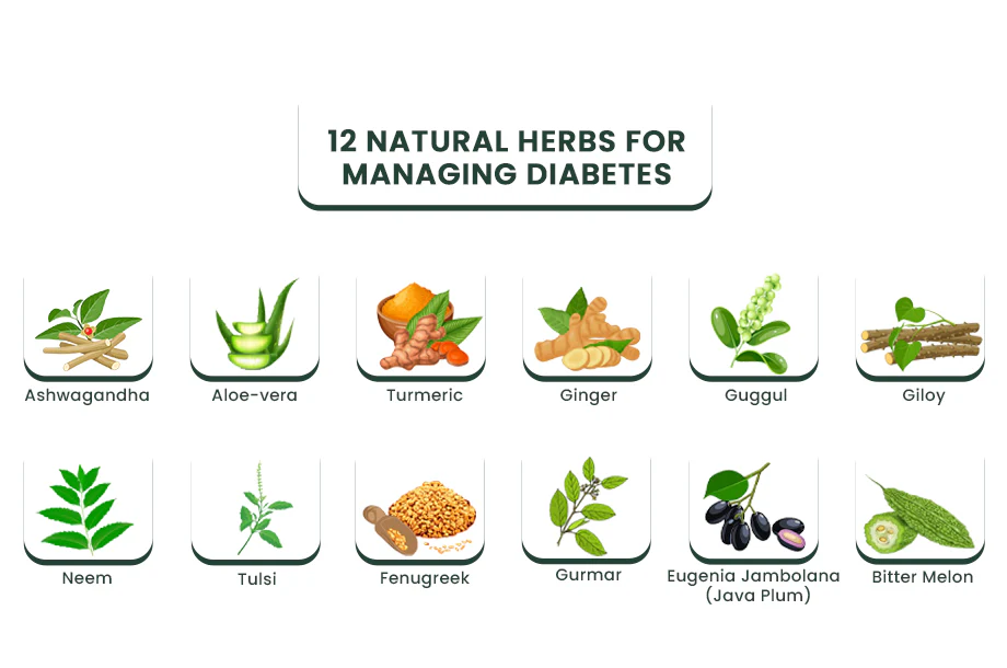 Natural Ways to Control Diabetes with Ayurvedic Herbs