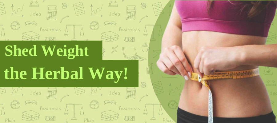 Herbal Remedies: The Best 20 Herbs for Weight Loss