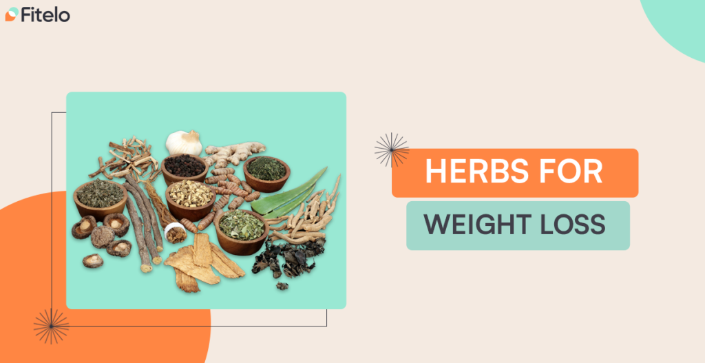 Boost Your Weight Loss Journey with These 10 Powerful Herbs